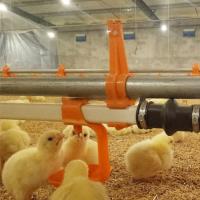 China Broiler Nipple Poultry Feeder Drinker 38.8mm Automatic Nipple Drinker Chicken for sale
