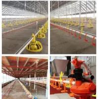 China Poultry Chicken Duck Goose Automatic Drinking System, Water Fountain Drinking Nipple full set of water line for sale