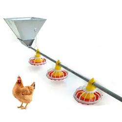 China Feeding equipment for breeding chicken feed line barrel type metering synchronous feeding system to support spot for sale