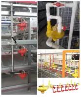 China Chicken farm with automatic feeder winch main auxiliary 45 Feed Line Lifting Cup round pipe water line chicken house fee for sale