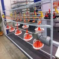 China Galvanized Chicken Raising Equipment Poultry Drinking Line Raised Chicken Waterer for sale