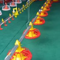 China Customized 110V Pan Feeding System For Broiler Chicken Pan Feeder for sale