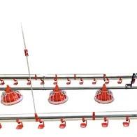 China Original factory wholesale, flat chicken goose automatic feeding system, chicken duck feed line for sale