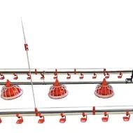 China Poultry Feed Pans Raised Chicken Waterer Equipment Needed To Raise Chickens for sale
