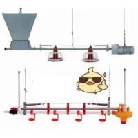 China Galvanized Chicken Raising Equipment Poultry Drinking Line Raised Chicken Waterer for sale