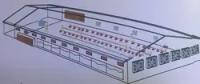 China Automatic Poultry Equipment Broiler Feeding And Drinking System Chicken Farm Equipment for sale