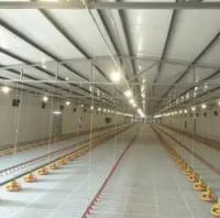 China Customizable Automatic Pan Feeding System 1kg-10Kg/Min Feeding Speed for sale