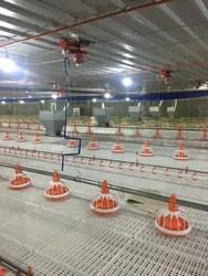 China Customized 110V Pan Feeding System For Broiler Chicken Pan Feeder for sale