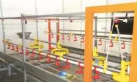 China Accuracy 2g Chicken Feeding Line PLC Automatic Broiler Feeding System for sale