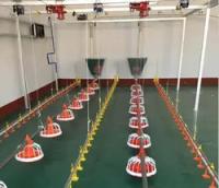 China Poultry House Automatic Auger Feeding System Chicken Cage Feeder for sale