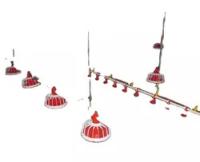 China Raising Chicken Feeding Line Steel PP Poultry Pan Feeding System for sale