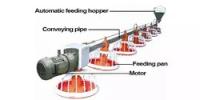 China Raising Chicken Feeding Line Steel PP Poultry Pan Feeding System for sale