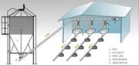 China Raising Chicken Feeding Line Steel PP Poultry Pan Feeding System for sale