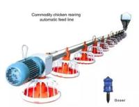 China Raising Chicken Feeding Line Steel PP Poultry Pan Feeding System for sale