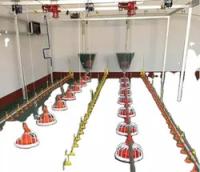 China Raising Chicken Feeding Line Steel PP Poultry Pan Feeding System for sale