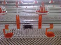 China Plasson Broiler Waterer Poultry Drinking Line White Red Yellow for sale