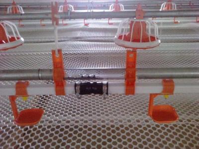 China Plasson Broiler Waterer Poultry Drinking Line White Red Yellow for sale