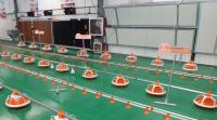 China New Poultry Farm Drinking System Caged Chicken House Watering Systems for sale