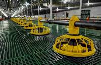 China New Poultry Farm Drinking System Caged Chicken House Watering Systems for sale