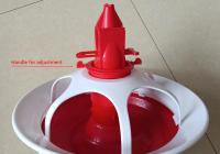 China A feeding dish for ducks and geese for sale