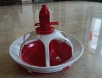 China Five grid feeding trays for the ducks for sale