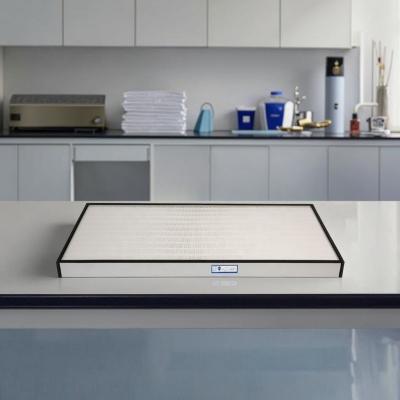 China Cleanroom H14 HEPA Filters Capture Particles ≥0.3 Μm With 99.99% Efficiency for sale