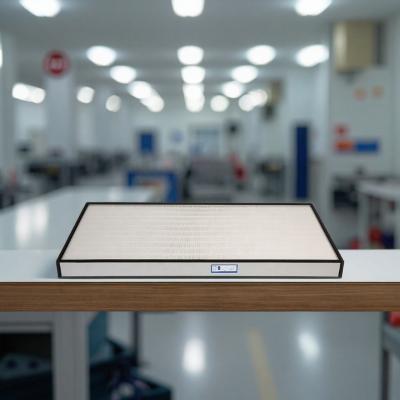 China Mushrooms Dustfree Air Flow Hood Clean Hepa Filter H14 for sale
