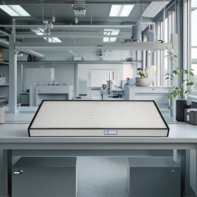 China Clean Room Mushroom Laboratories HEPA Air Filter for sale