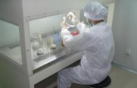 China Vertical Laminar Workstation with Stainless Steel Construction Status Code 403 Description but is refusing to fulfill it for sale