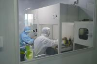China Experience the Benefits of a Laminar Clean Bench for a Clean and Sterile Workspace for sale