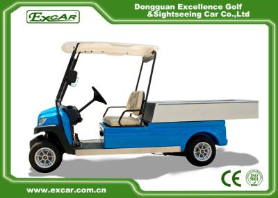 China 48V 5KW AC Electric Buggy Car for Hotel Farm with Lithium Battery 3.7KW for sale