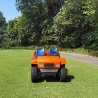 China New Design 72V Electric Utility Buggy With Aluminum Cargo for sale