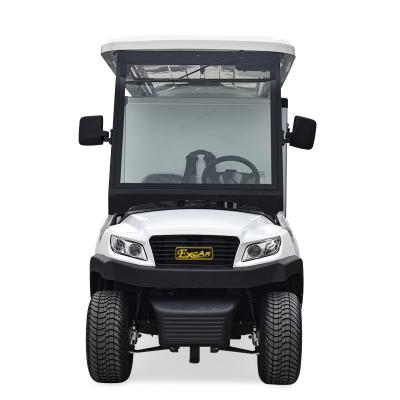 China Mini Buggy Golf Car with Aluminum Cargo Box 30% Climbing 35km/h Max Speed for sale