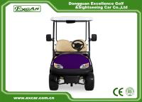 China EXCAR 48V Four Wheel Electric Golf Buggy with 600KG Capacity and 70-90km Range - Purple Color for sale