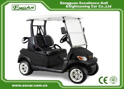 China EXCAR Black Seat 2-Person Golf Cart with 48V 3700W Motor and 600kg Capacity for sale