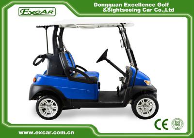 China 48V Electric Golf Buggy 2 Seater with Trojan T-875 Battery | 3700W Motor | 80-100km Range for sale