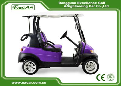 China 48V 2 Passenger Electric Golf Cart 3700W Motor Curtis Controller 1 Year Warranty for sale