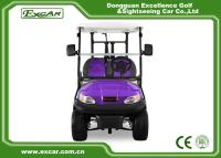 China Purple 2 Passenger Electric Golf Cart 48V 3700W with Trojan T-875 Battery for sale