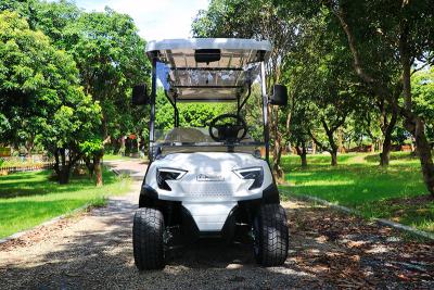 China Excar 8 Seats Electric Sightseeing Car 48V 5kW with Flip-Flap Seat LiFePO4 Battery for sale