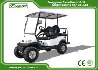 China 4 Passenger Electric Hunting Buggy 48V 3KW with Intelligent Onboard Charger for sale