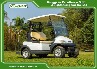 China 48V 275A Curtis Controller Battery Powered Club Car Golf Cart 2 Passenger Sightseeing Vehicle for sale