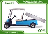 China 48V 3.7KW 2 Seater Electric Golf Cart with Italy Axle Hotel Buggy Car for sale