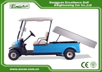China 48V 3.7KW 2 Seater Electric Golf Cart with Italy Axle Hotel Buggy Car for sale