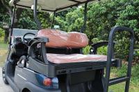 China 4 Passenger Electric Golf Buggy Car 3200x1200x2000mm 60-80km Range for sale