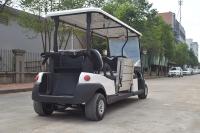 China 4 Passenger Wheelchair Accessible Electric Golf Cart 48V 275AH Trojan T-875 for sale