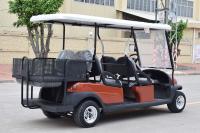 China Excar A1S4+2 48V Lithium Electric Golf Cart 6 Seater with Flip Rear Seat Kit for sale
