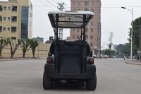 China Smooth Ride 6 Passenger Electric Golf Buggy with Trojan Battery for sale