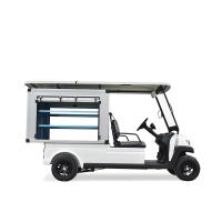 China 48V Electric Golf Cart with Extended Three Layers Cargo Box 600kg Payload 30% Climbing for sale