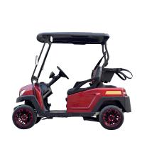 China Advanced Golf Buggy Cart 2 Passenger 48V Lithium Battery With Curtis Controller for sale