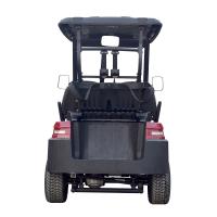 China Advanced Golf Buggy Cart 2 Passenger 48V Lithium Battery With Curtis Controller for sale